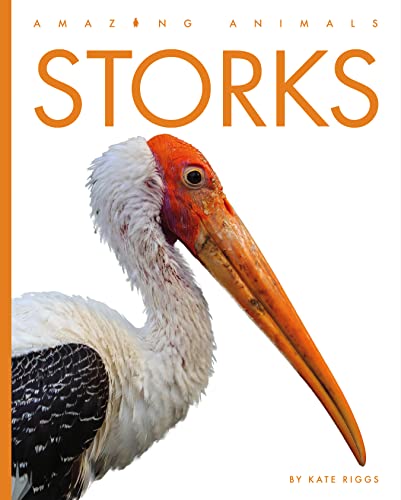 Storks (Amazing Animals): Riggs, Kate: 9781682771358: Amazon.com: Books