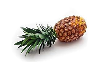Amazon.com : Elite Gold Pineapple Plant - Ananas - Great Indoors/Out ...
