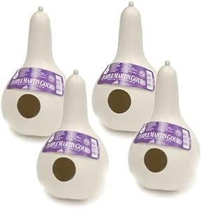 Amazon.com: Heath Purple Martin Gourds, Pack of 4 : Patio, Lawn & Garden