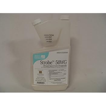 Amazon.com : QUALLI-PRO Strobe 50WG Systemic Fungicide 1 lb : Garden ...