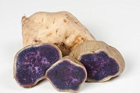 Amazon.com: White skin purple yam, Japanese purple potato or Japanese ...