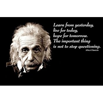Amazon.com: 12 x 18 XL Poster Albert Einstein Quote Everyone Is A ...