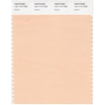 Pantone 15-1506 TCX Smart Color Swatch Card, Etherea - House Paint ...