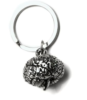 Amazon.com: Anatomology 00030 Brain Key chain: Industrial & Scientific