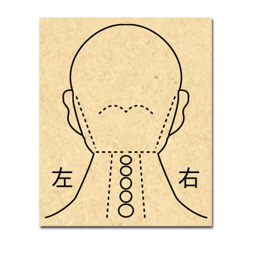 Mua Human Body Medical Stamp, Face, Head & Neck (Back) Physical ...