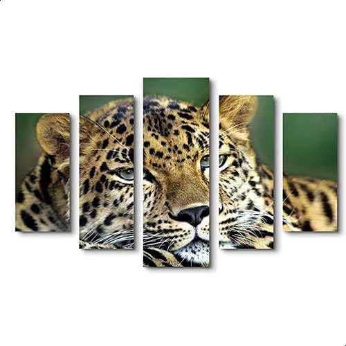 سعر تابلوه مودرن نمر - 120x80 سم فى مصر | بواسطة امازون مصر | كان بكام