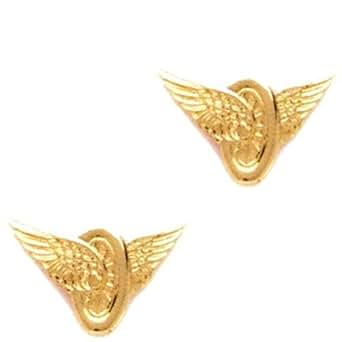 Amazon.com: MOTORCYCLE WINGS POLICE HIGHWAY PATROL COLLAR BRASS PINS ...