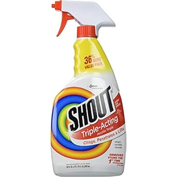 Amazon.com: Shout Triple-Acting Stain Remover Spray, 22 Oz: Health ...