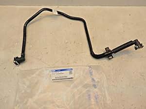 Amazon.com: Ford BL8Z9D667B - Tube Assembly: Automotive