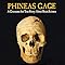 Phineas Gage: A Gruesome but True Story About Brain Science: Fleischman ...