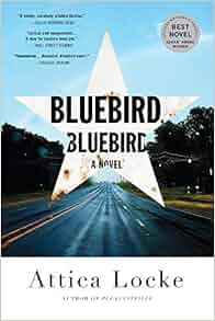 Amazon.com: Bluebird, Bluebird (A Highway 59 Mystery) (9780316363273 ...