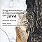 Amazon.it: Programmazione di base e avanzata con Java. Ediz. Mylab. Con ...