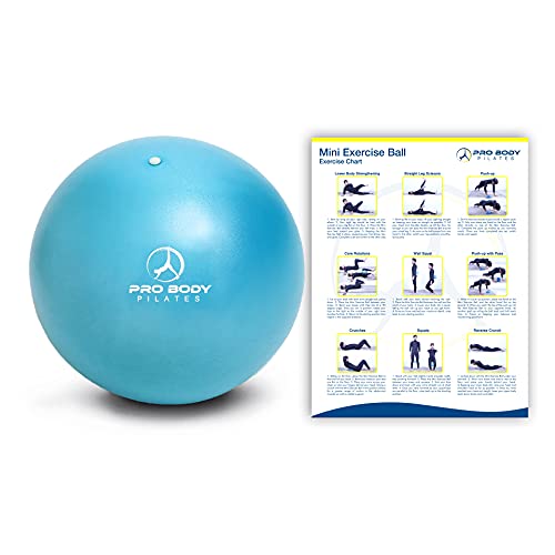 ProBody Pilates Mini Exercise Ball - 9 Inch Small Bender Ball for ...