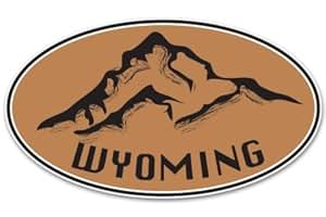 Amazon.com: Wyoming Oval Brown Vinyl Sticker - Car Phone Helmet Bumper ...