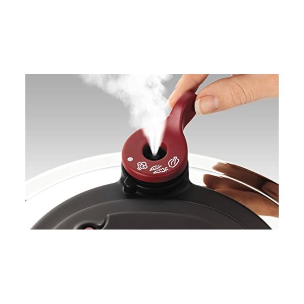 Autocuiseur SEB Clipso Plus P4371406 8L : 6 à 8 personnes – 2 ...