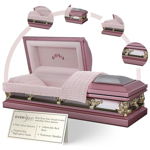 Overnight Caskets Briar Rose Metal Funeral Casket with Pink Velvet ...