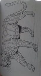 Wild Cats of the World Coloring Book (Dover Nature Coloring Book): John ...