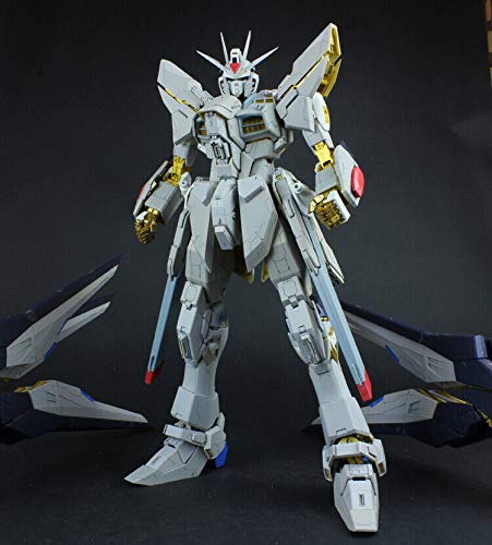 Buy UC dam 1/60 PG ZGMF-X20A Strike Freedom Resin Recast Kit Online at ...