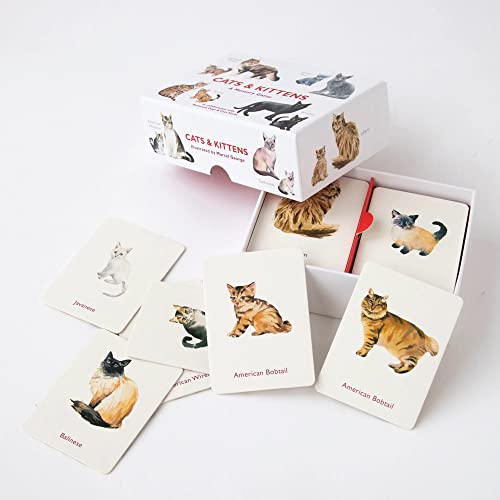 Cats & Kittens: A Memory Game | Pricepulse