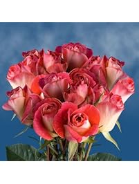 Amazon.com | Fresh cut flowers