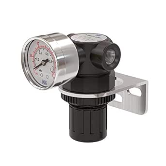 KCC Female Thread 1/4" NPT Air Pressure Regulator with Gauge and ...