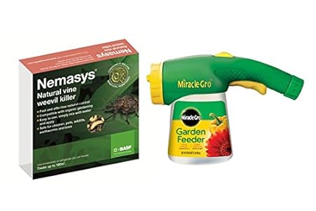 Nemasys Vine Weevil Killer Nematodes Treats 100sq.m + Nematode ...