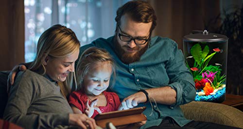 Koller Products AquaView 3-Gallon 360 Aquarium With LED Lighting (7 ...