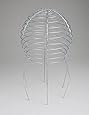 Chimney Bird Guard Cowl Wire Balloon: Amazon.co.uk: DIY & Tools