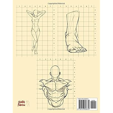 Mua Anatomy for Artists - How to Draw People - The Anatomy Sketchbook ...