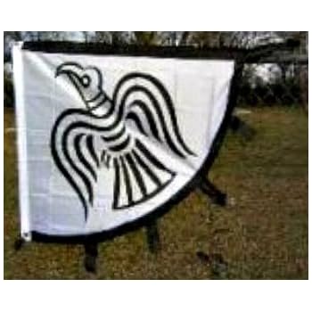 Amazon.com : VIKING RAVEN FLAG w/Sewn in Rays, 2'x3' banner : Garden ...