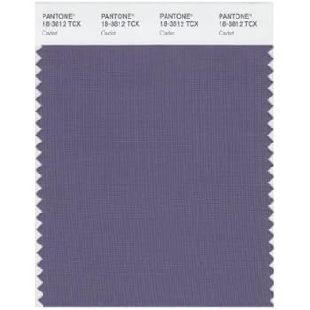 Pantone 16-3915 TCX Smart Color Swatch Card, Alloy - House Paint ...
