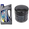 Amazon.com: Suzuki ECSTAR V7000 10W-40 Marine 4-Stroke Engine Oil, 1 ...