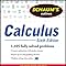 Schaum's Outline of Calculus, 6th Edition: 1,105 Solved Problems + 30 ...