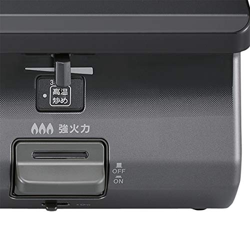 Mua Rinnai RT64-2H6S-R Gas Stove (Gas Table) for Propane Gas (LPG ...