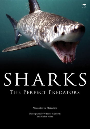 Sharks: The Perfect Predator: De Maddalena, Alessandro, Gabriotti ...