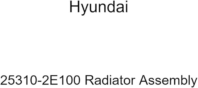 Amazon.com: Genuine Hyundai 25310-2E100 Radiator Assembly: Automotive