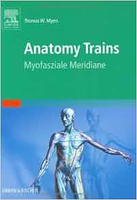 Anatomy Trains.: Thomas W. Myers: 9783437567308: Amazon.com: Books