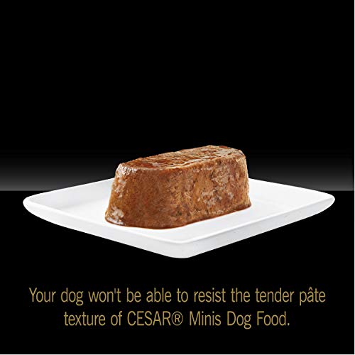 CESAR Minis Wet Dog Food Tender Loaf in Sauce Variety Pack, Filet ...