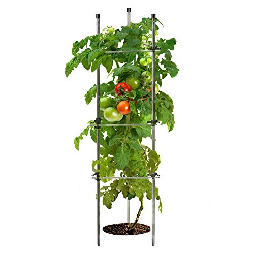 Ihomepark Tomato Cages, Stainless Steel Heavy Duty Adjustable Garden ...