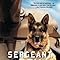 Sergeant Rex: The Unbreakable Bond Between a Marine and His Military ...
