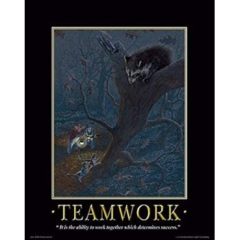 Amazon.com: Raccoon Coon Hunting Motivational Poster Art Print 11x14 ...