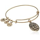 Amazon.com: Alex and Ani Because I love you, Sister II Expandable Rafaelian Gold-Tone Bangle ...