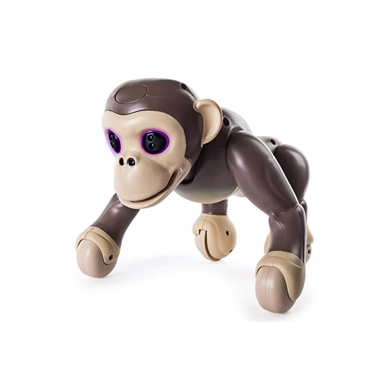 Zoomer Chimp