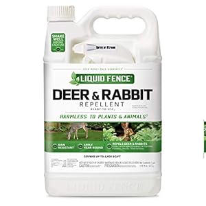 What Is The Best Rabbit Repellent For My Garden?