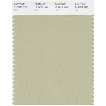 Pantone 15-1506 TCX Smart Color Swatch Card, Etherea - House Paint ...