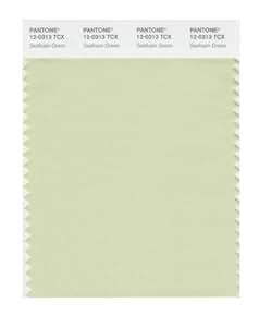Amazon.com: PANTONE Smart 12-0313X Color Swatch Card, Seafoam Green ...