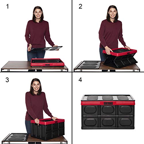 DuraBox Collapsible Folding Storage Bins - Stackable Containers for ...