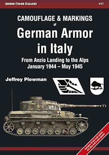 Camouflage & Markings of German Armor in Italy: From Anzio Landing to ...