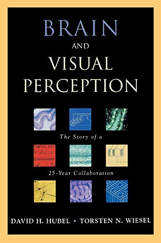 Brain and Visual Perception: The Story of a 25-Year Collaboration ...