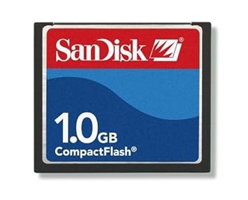 SanDisk Compact Flash 1GB: Amazon.it: Informatica